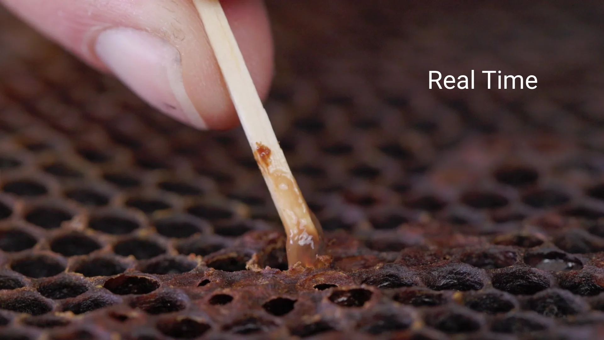 the_ropiness_test on Vimeo