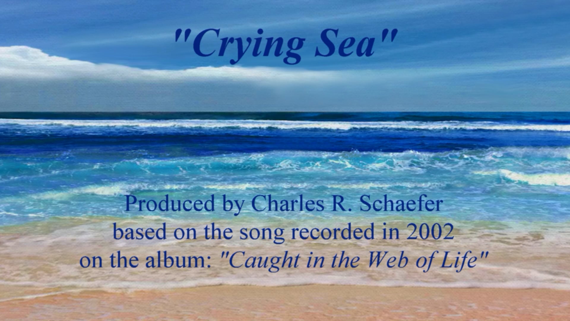 crying-sea-fin.mp4 on Vimeo