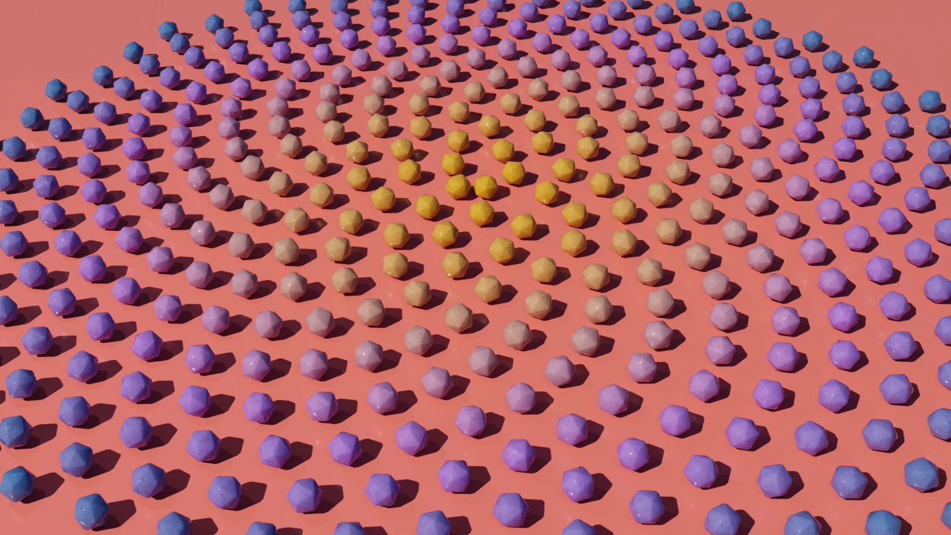 Phyllotaxis Pattern on Vimeo