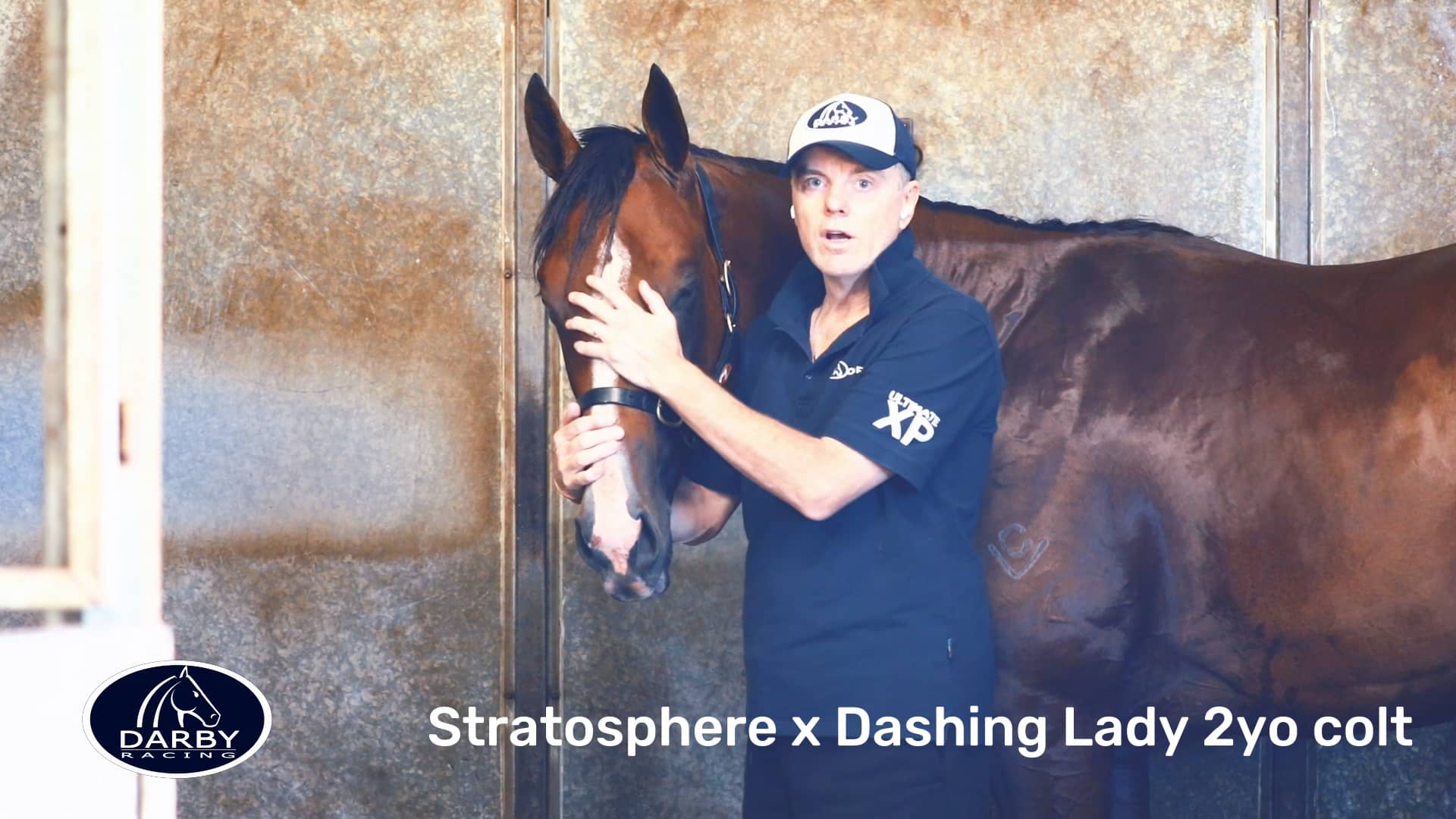 Stratosphere x Dashing Lady 2yo colt on Vimeo