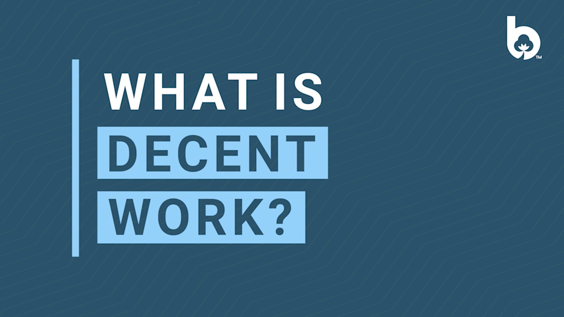 Better Cotton - What is Decent Work? on Vimeo