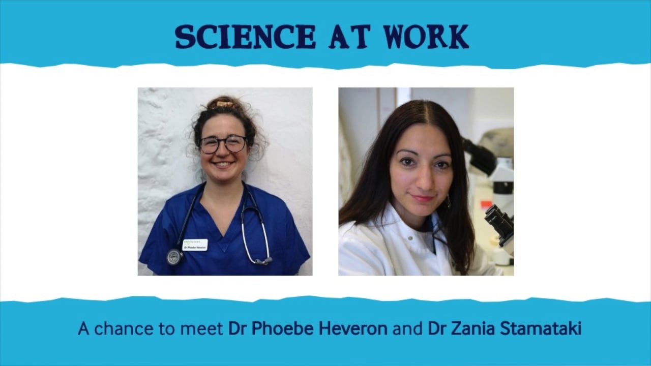 Meet Two Doctors on Vimeo