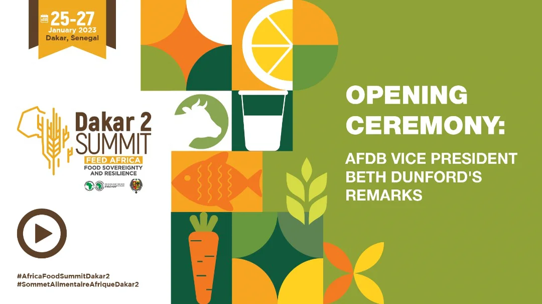 Dakar 2 Summit: Opening ceremony - AfDB VP Beth Dunford's remarks on Vimeo