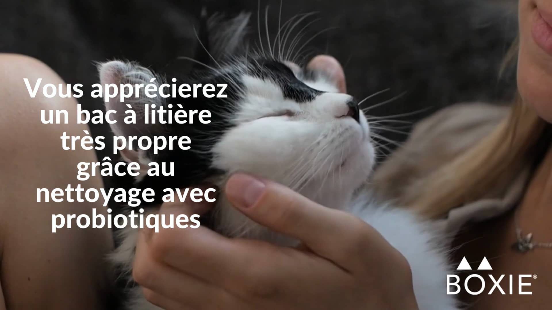 FRENCH BOXIE PRO PREMIUM CLUMPING CLAY CAT LITTER - Probiotic Powered ...