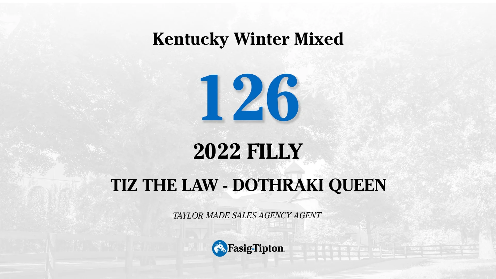 FTKFEB23_Hip 126_DOTHRAKI QUEEN 22