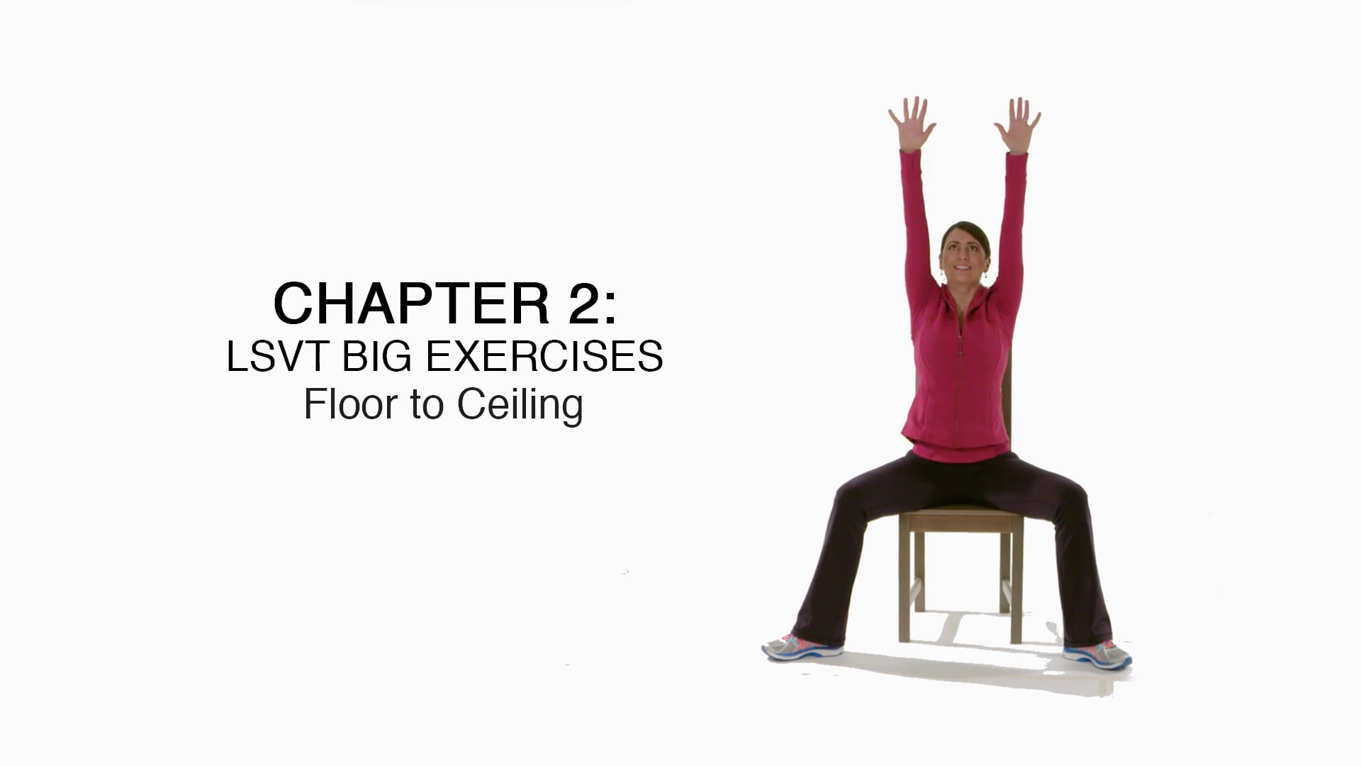 seated_adaptations_of_lsvt_big_exercises (1080p).mp4 on Vimeo