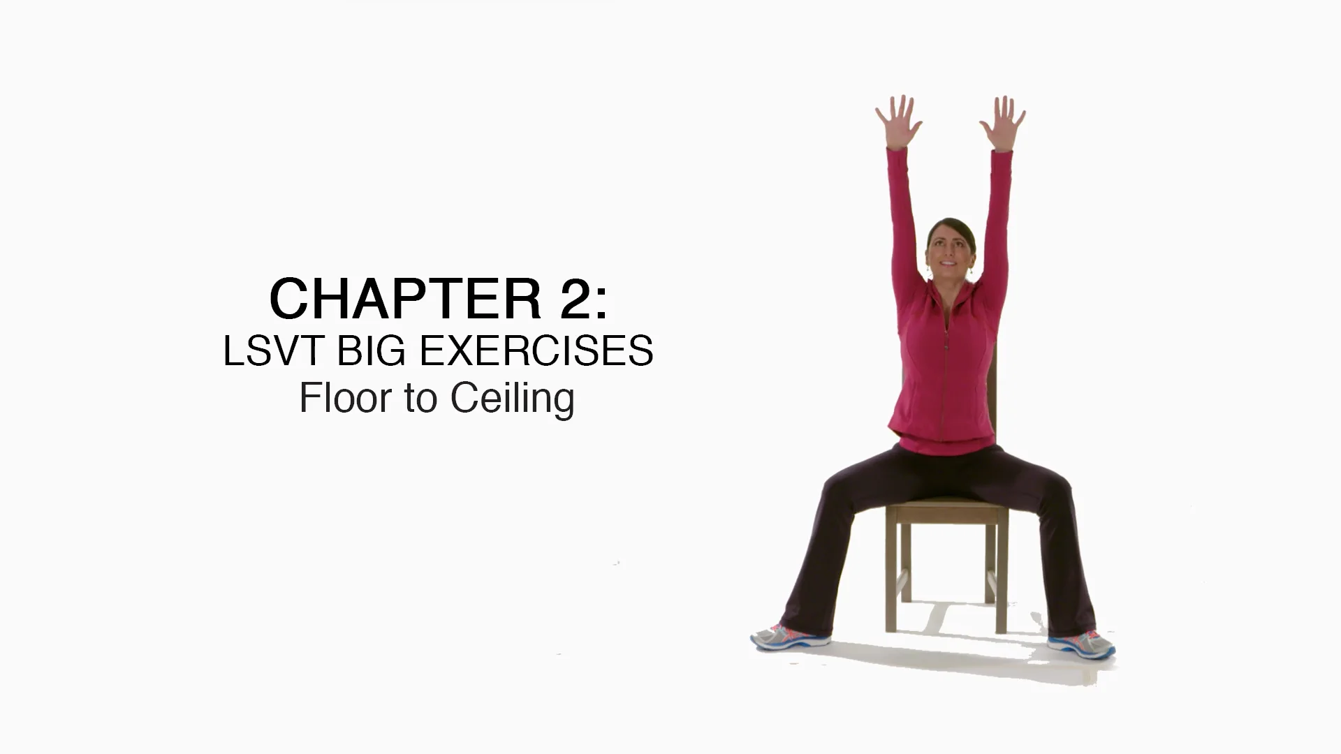 seated_adaptations_of_lsvt_big_exercises (1080p).mp4 on Vimeo