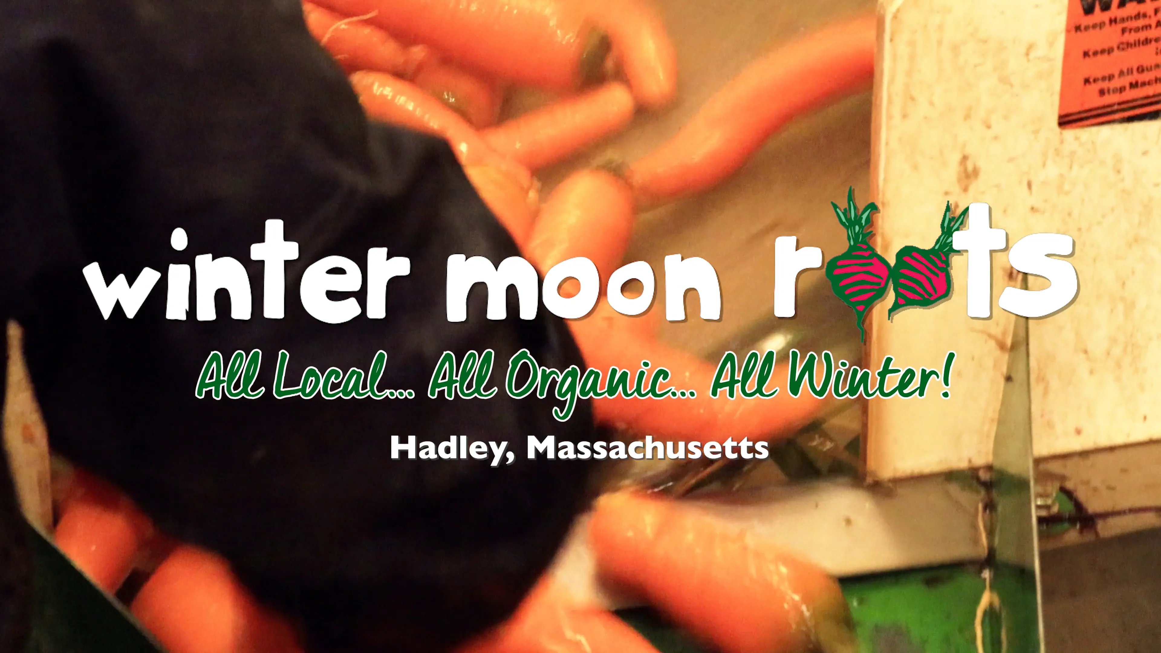 Winter Moon Roots: The Farm Our Food System Needs