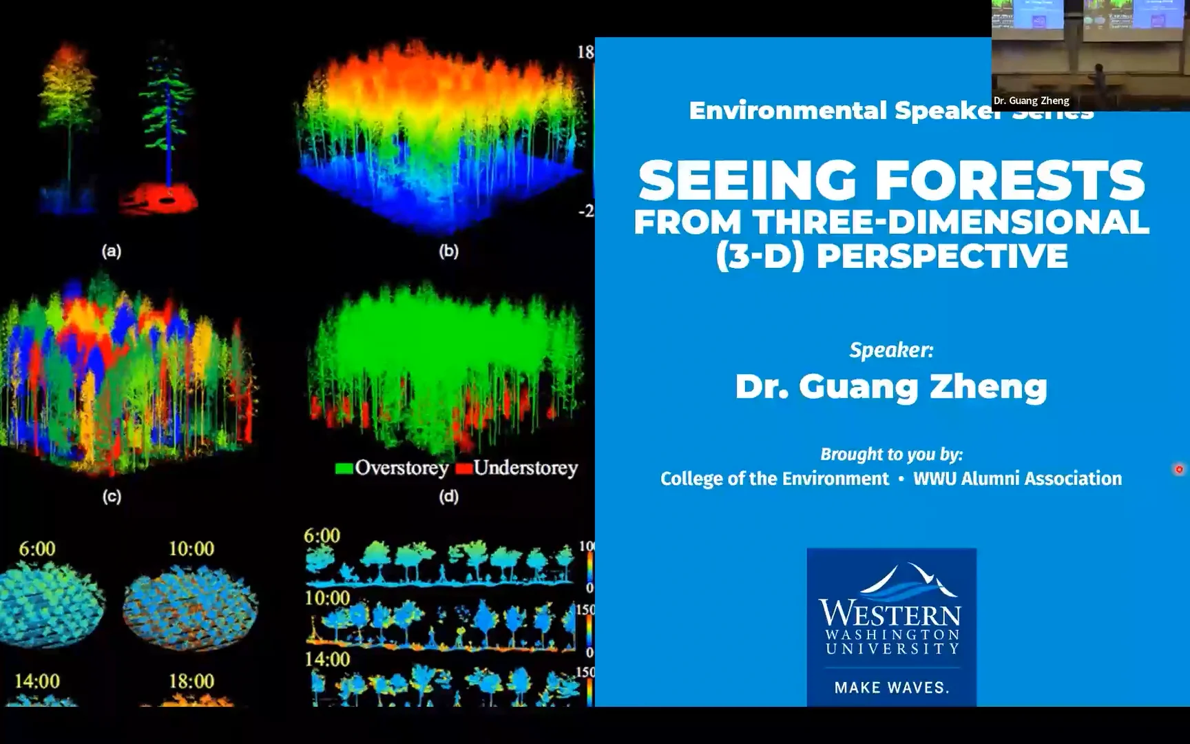 Seeing Forests from Three-Dimensional (3-D) Perspective