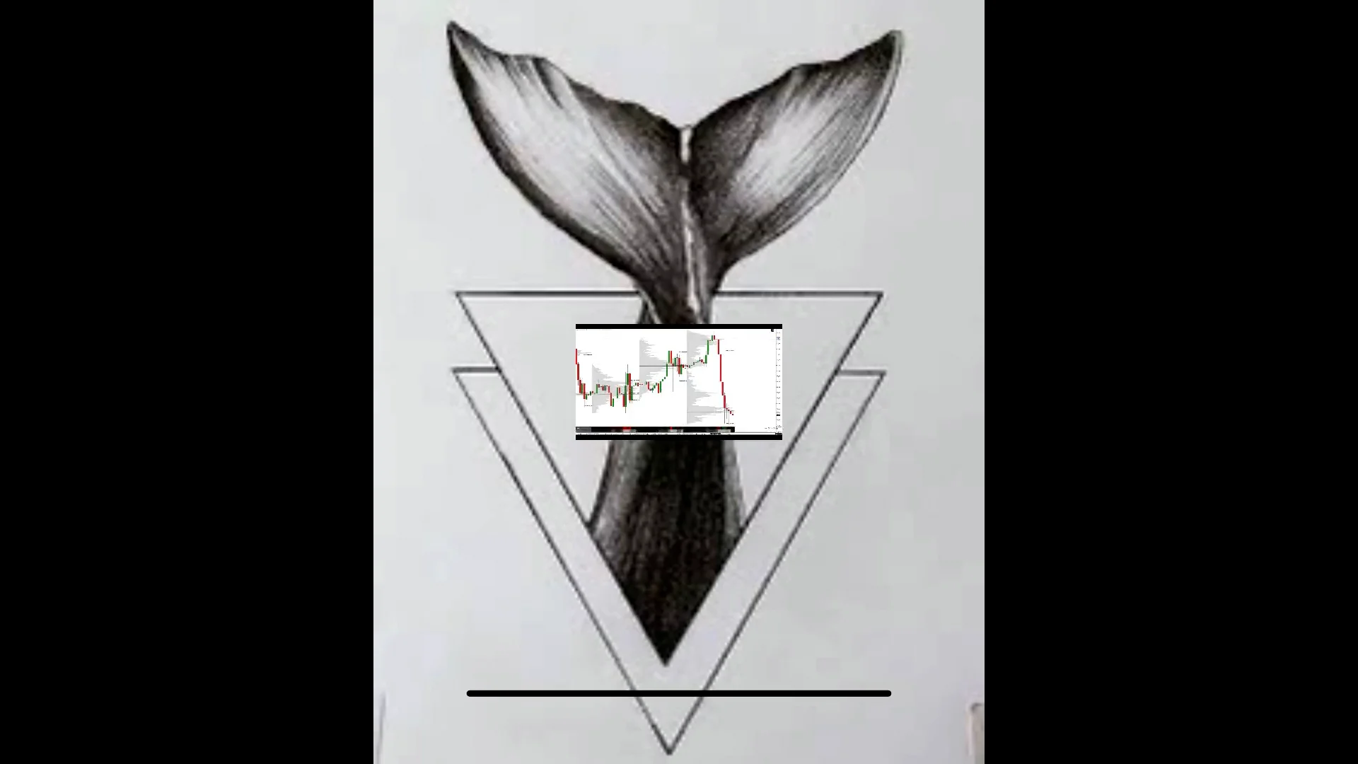 Intro_The_Whale_Order.mp4 on Vimeo