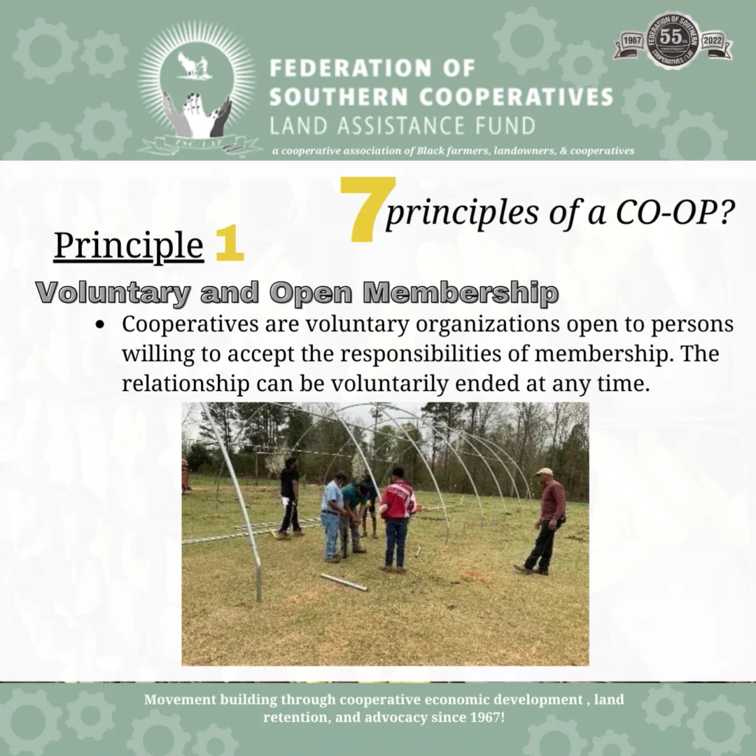 7 Cooperative Principles on Vimeo