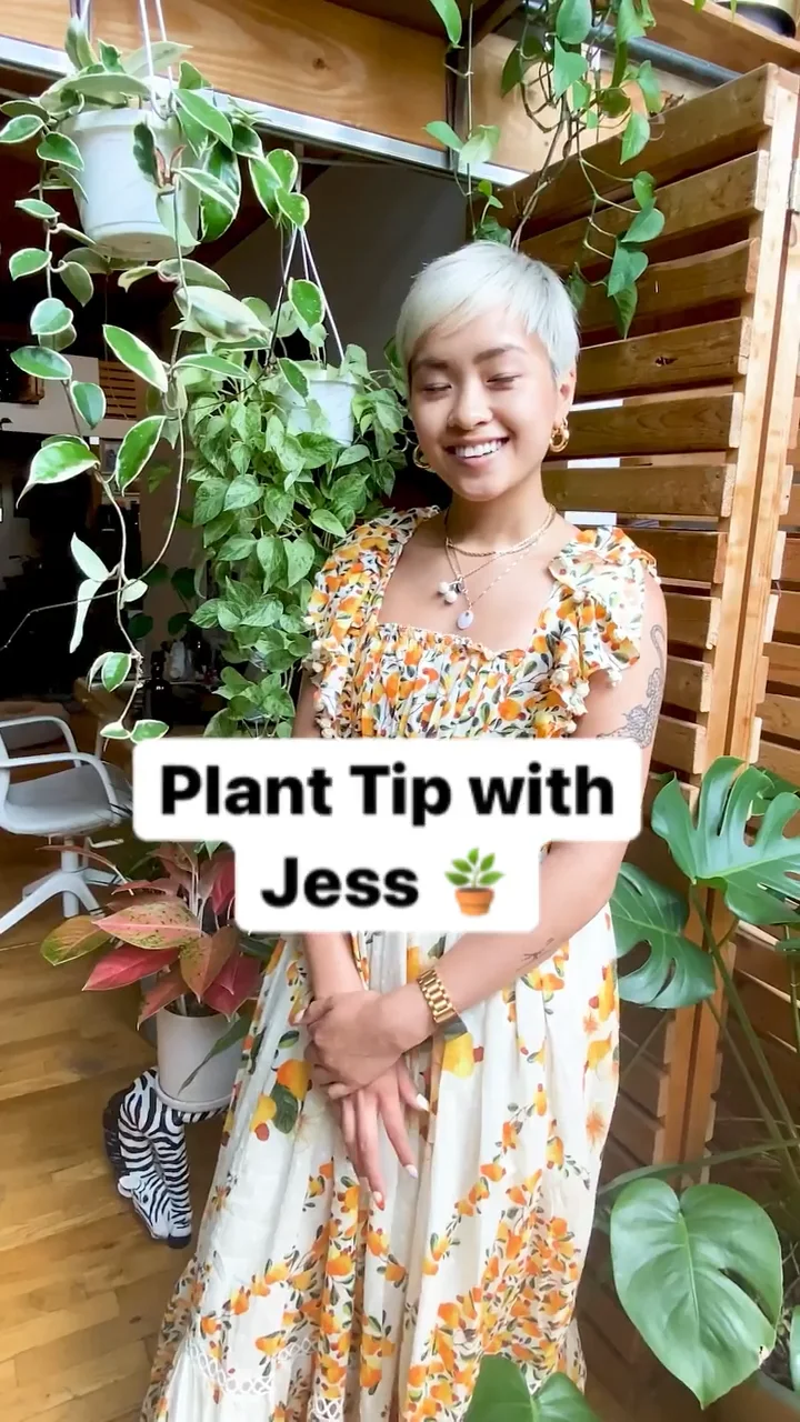 In The Weeds with Plant People - Jess Tran on Vimeo
