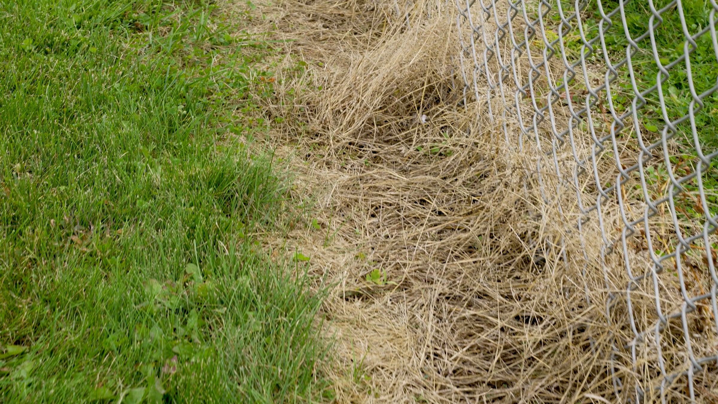UnderFence Under Existing Fencing.mov
