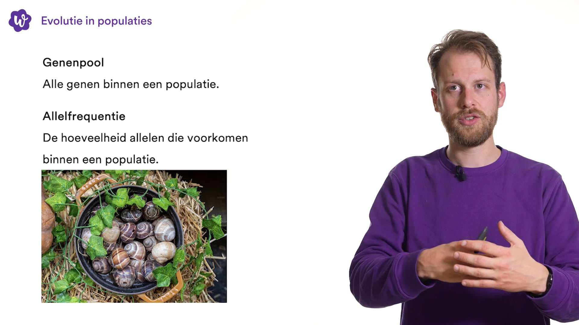 Evolutie in populaties oefenen | StudyGo