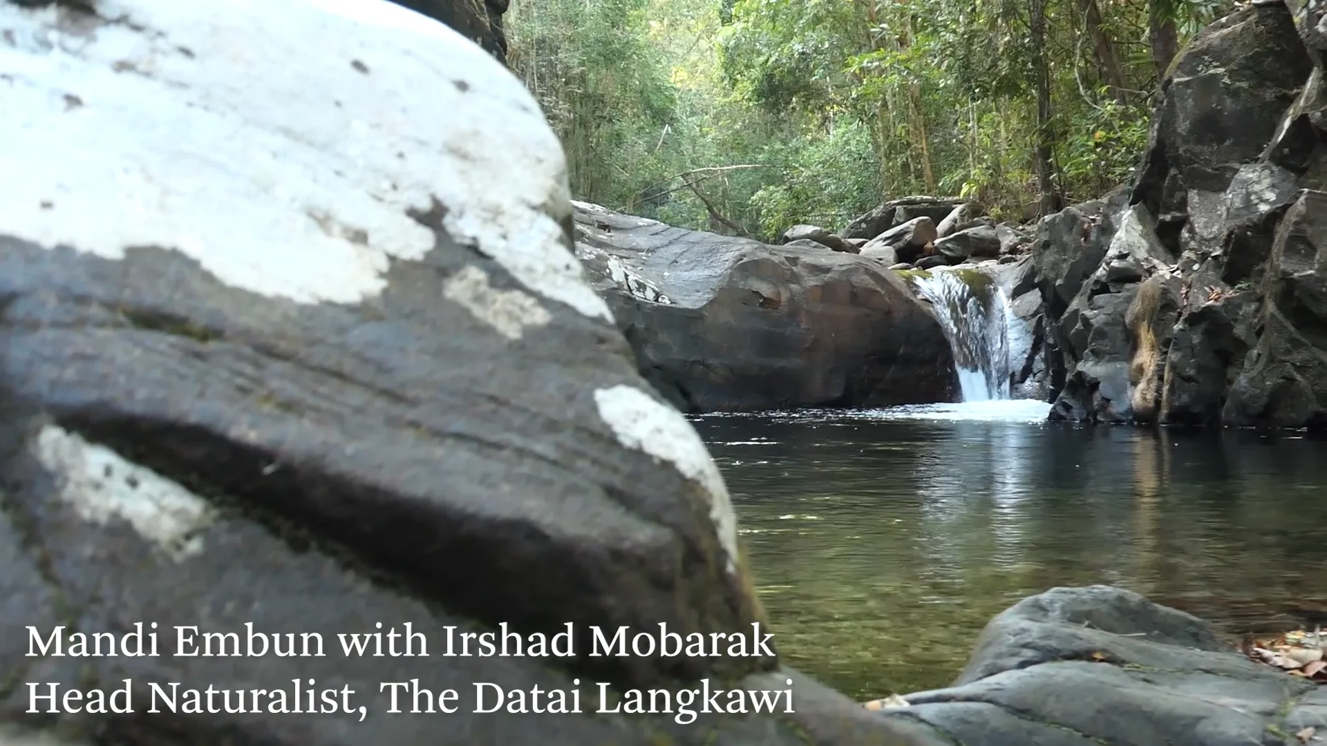 Mandi Embun (Forest Bathing) Ritual on Vimeo