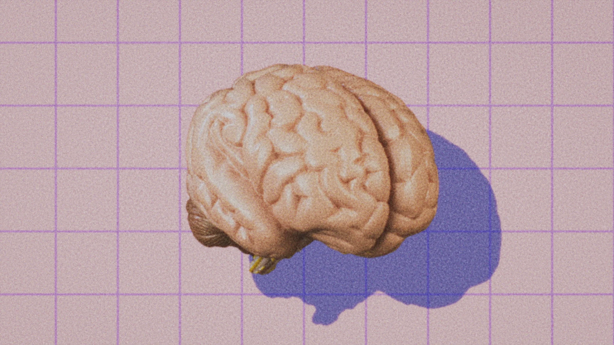 Brain Loop on Vimeo