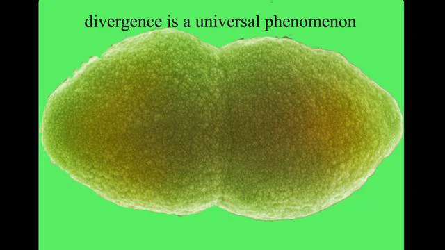 network hub on Vimeo