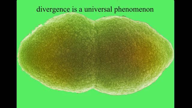 network hub on Vimeo