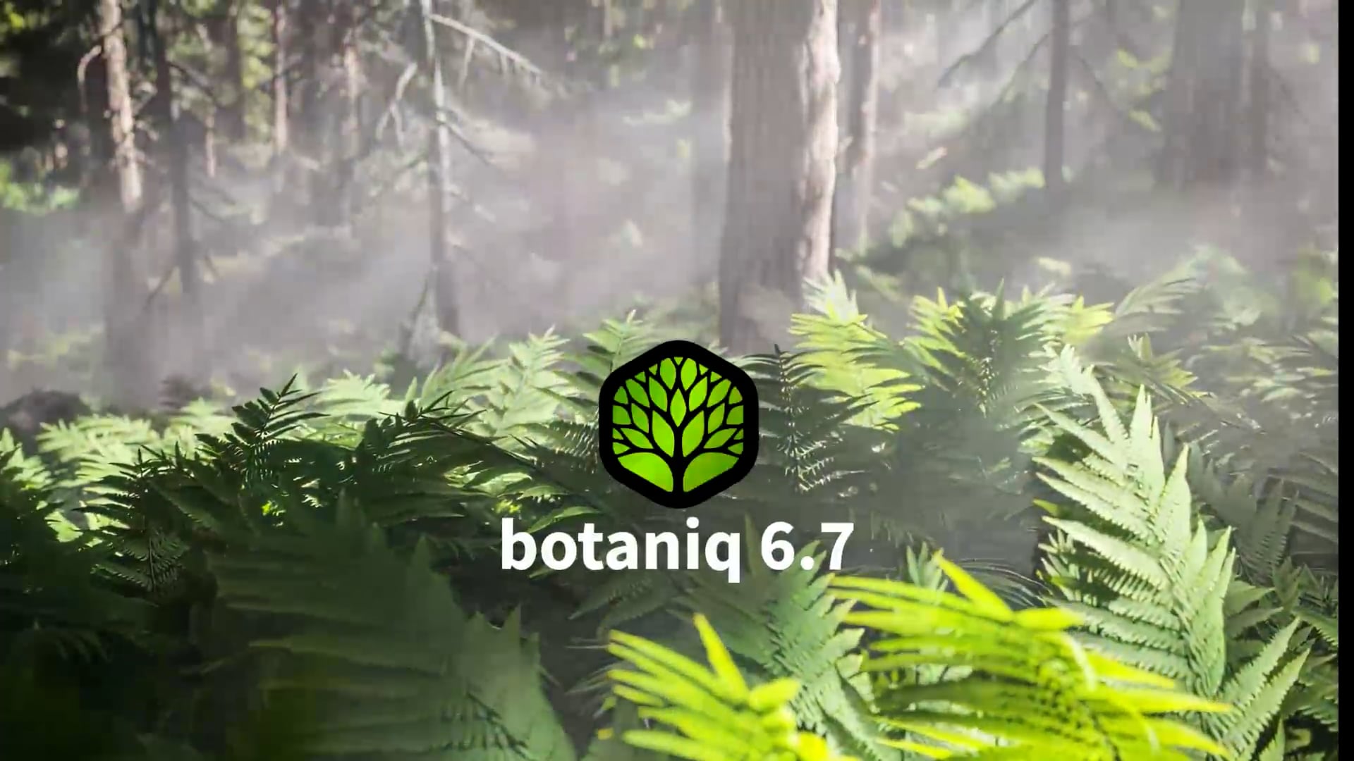 botaniq 6.7 | Tree & Grass Library Blender | polygoniq on Vimeo
