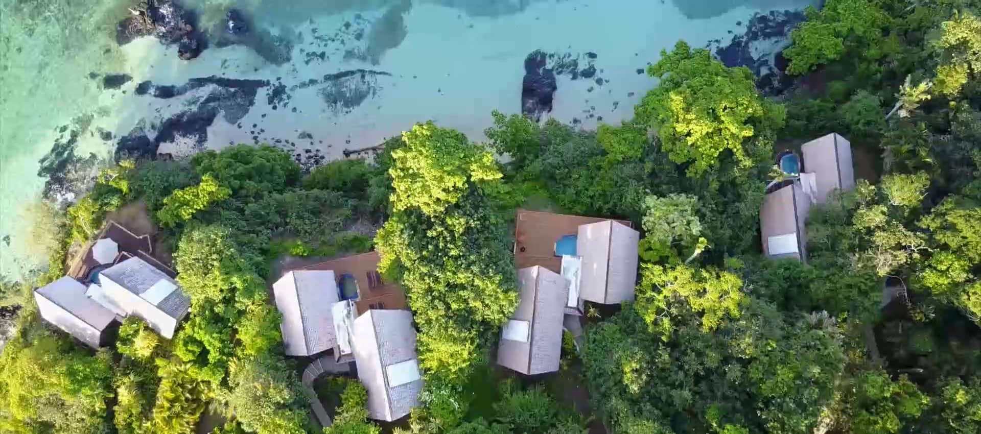 ROYAL DAVUI OFFICAL VIDEO on Vimeo