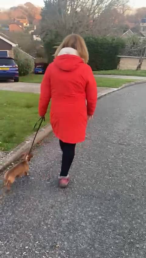 Dudley walking nicely on Vimeo