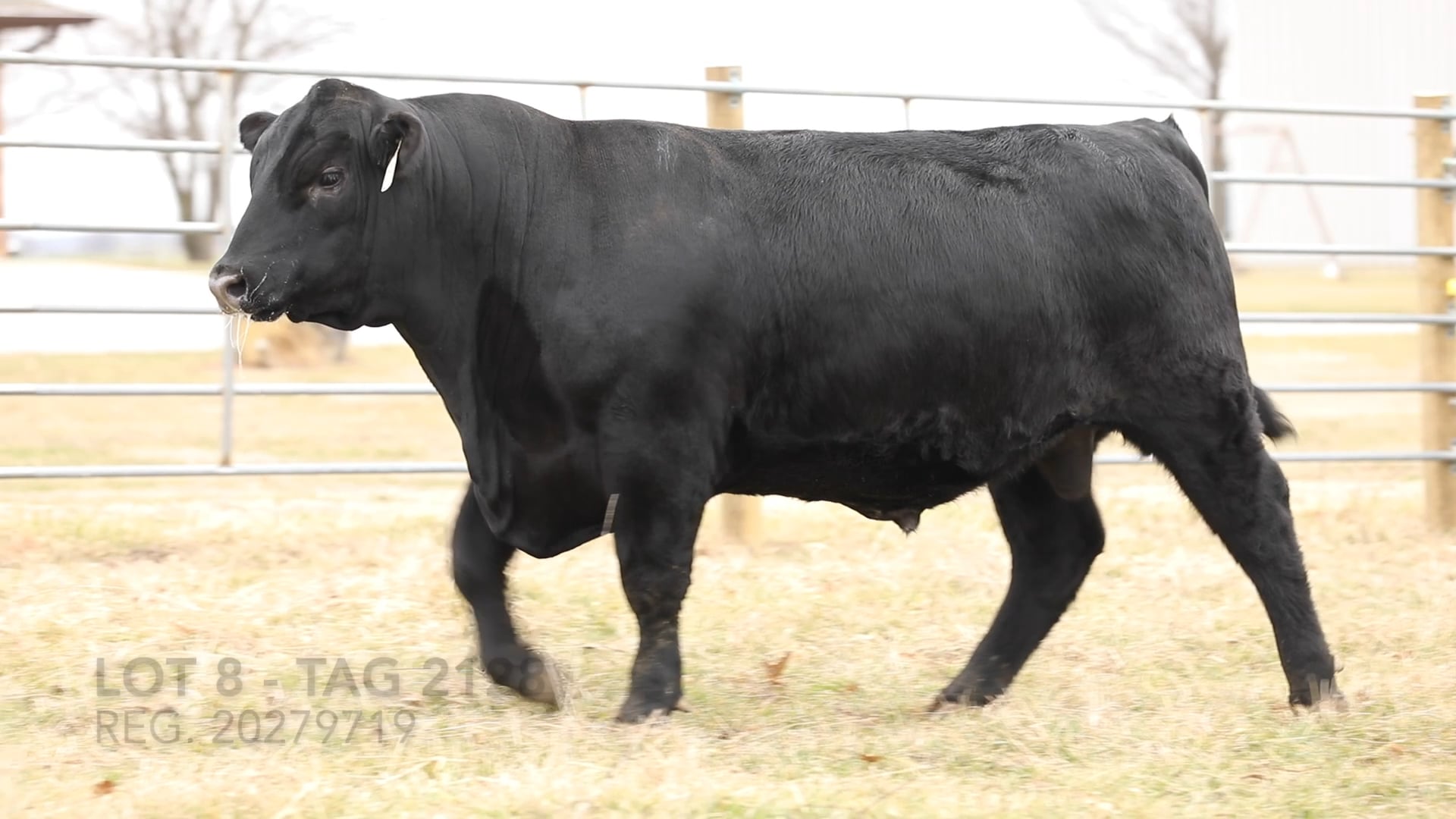 Kramer Tag 2128.mp4 on Vimeo