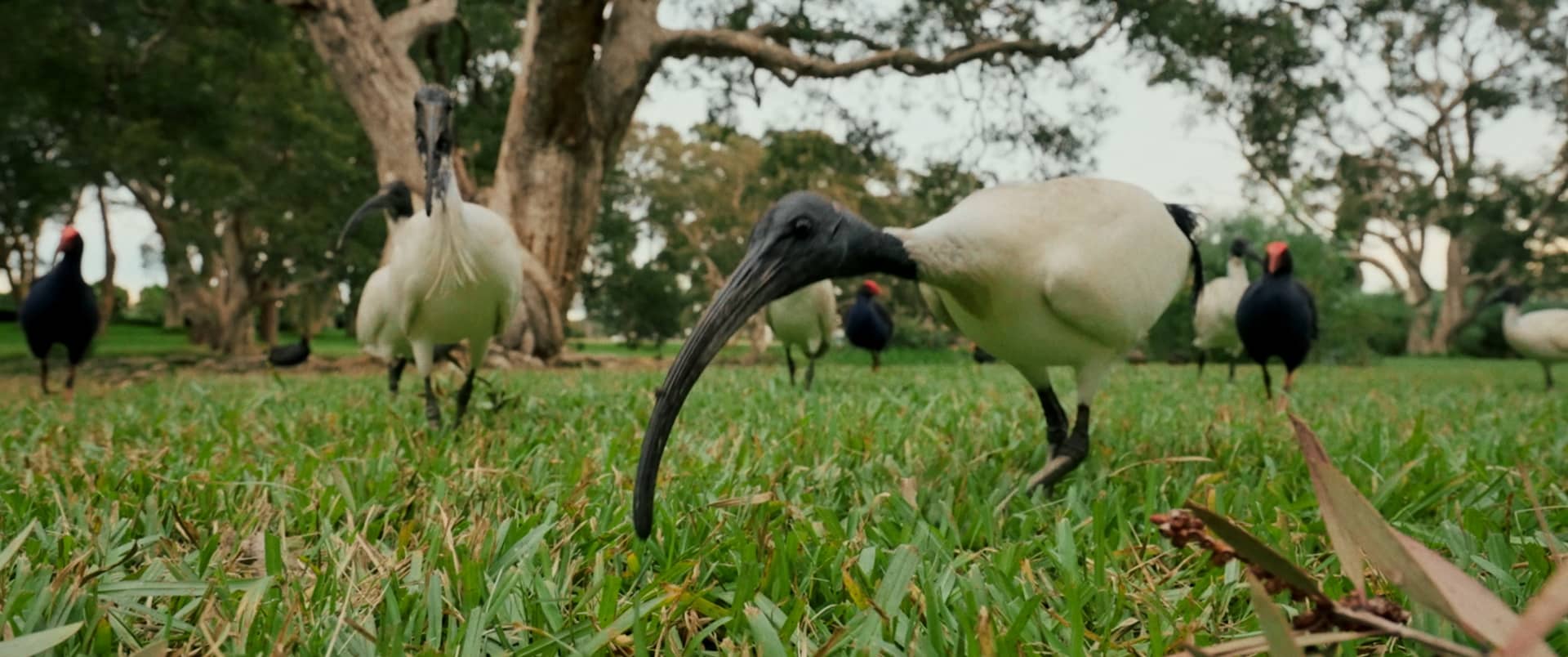 Harry Peters 2023 Showreel (h264) on Vimeo