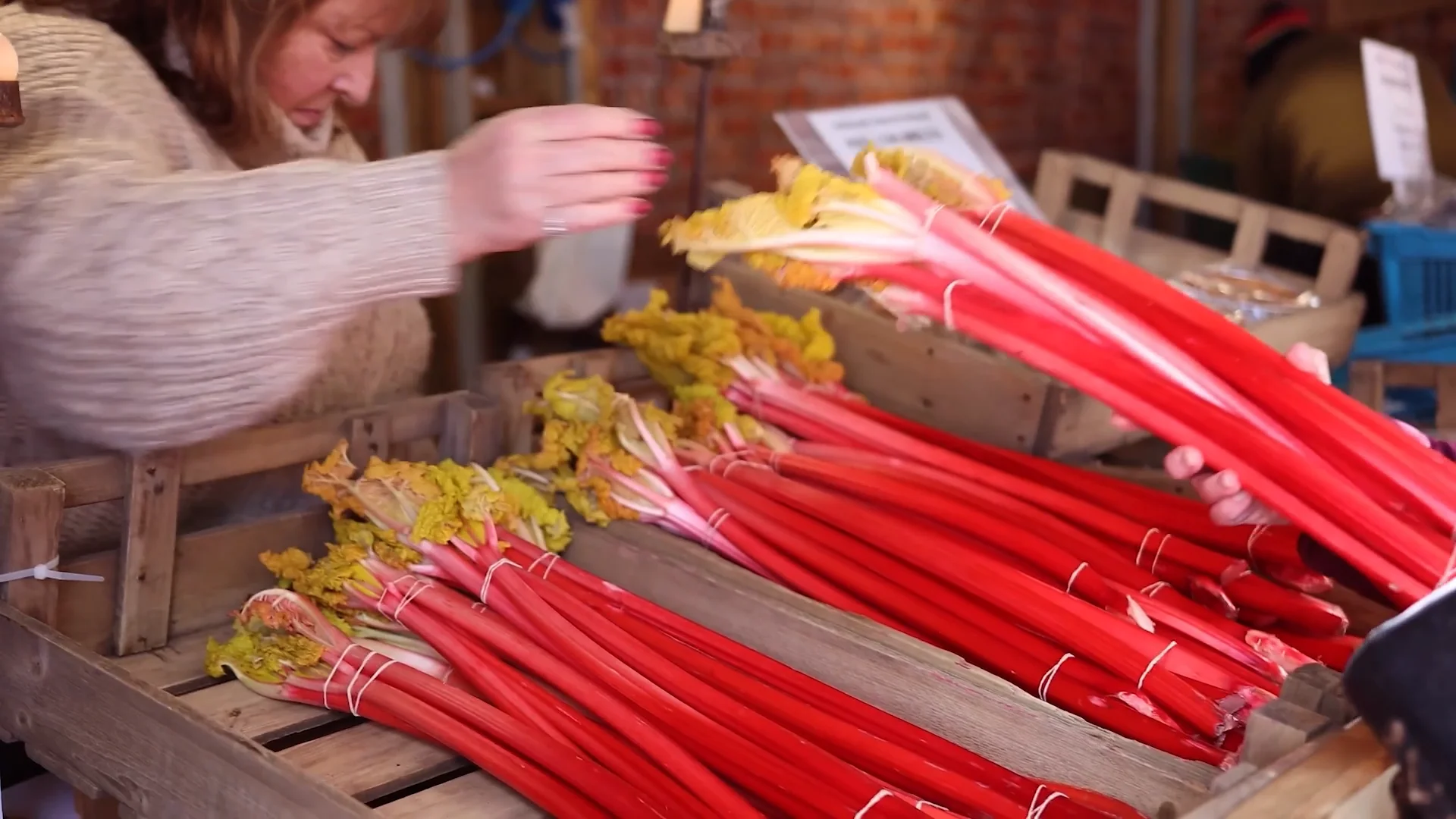 Rhubarb Festival 2023 on Vimeo