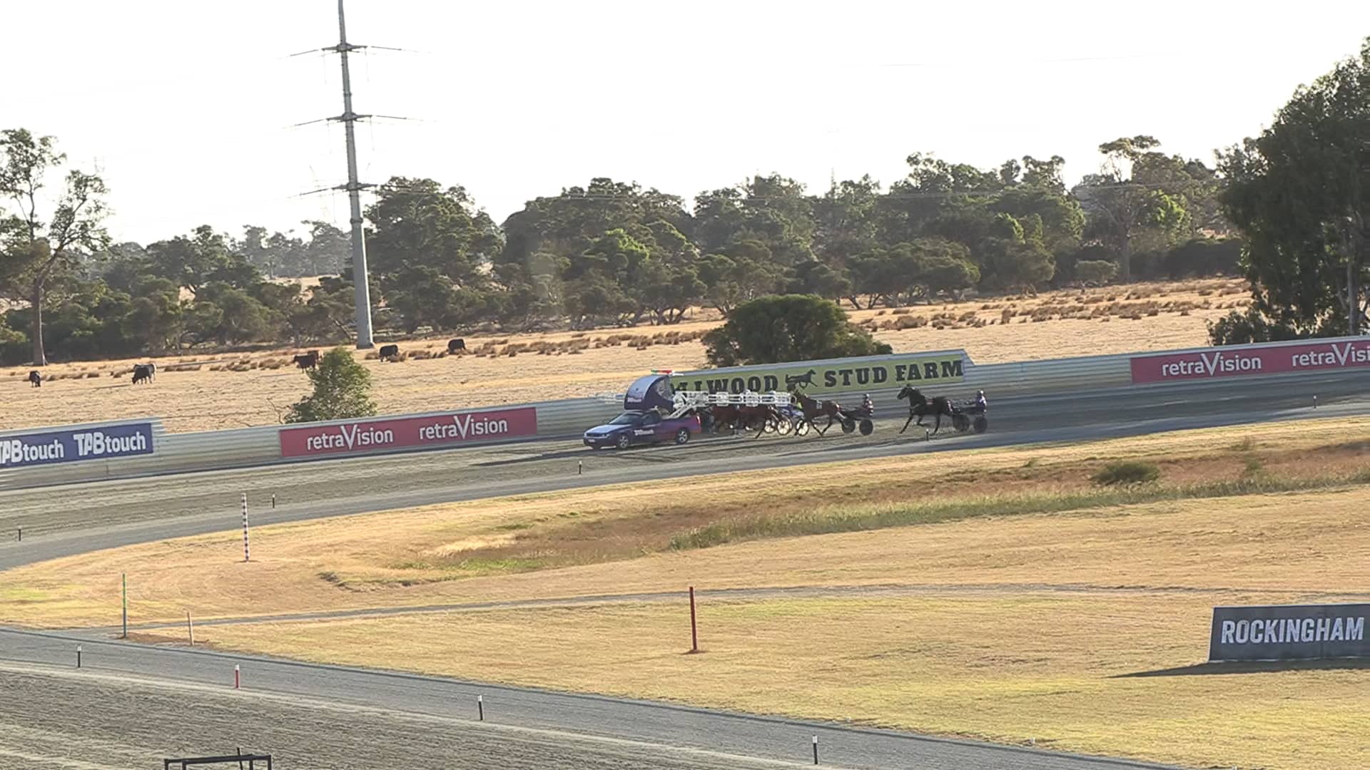 PINJARRA TRIAL 01022023 HEAT 8 on Vimeo