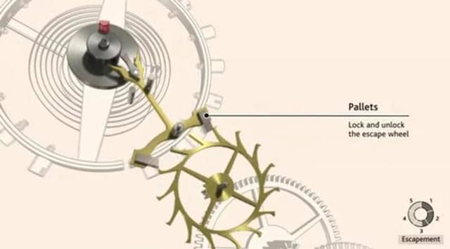 Watch Animation on Vimeo