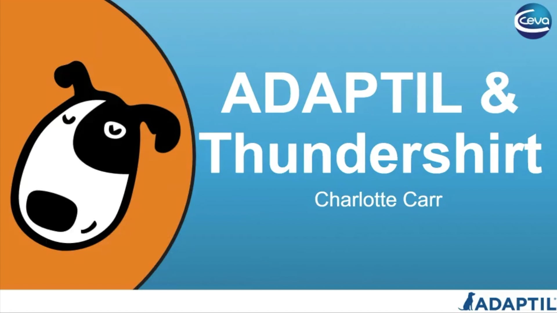 Thundershirt & ADAPTIL.mp4 on Vimeo