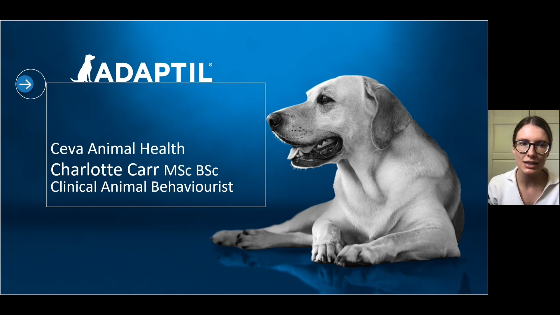 ADAPTIL - CANINE BEHAVIOUR AND COMMUNICATION on Vimeo