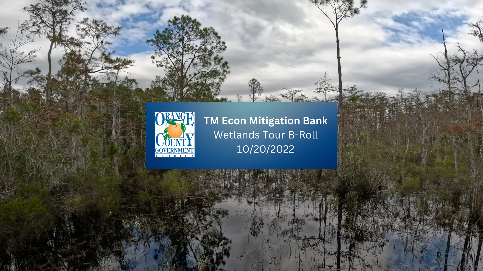 Orange County, FL Wetlands Tour
