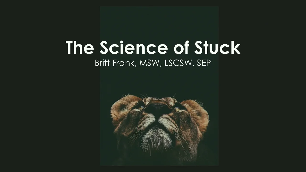 The Science of Stuck - Break Through What's Holding You Back! on Vimeo