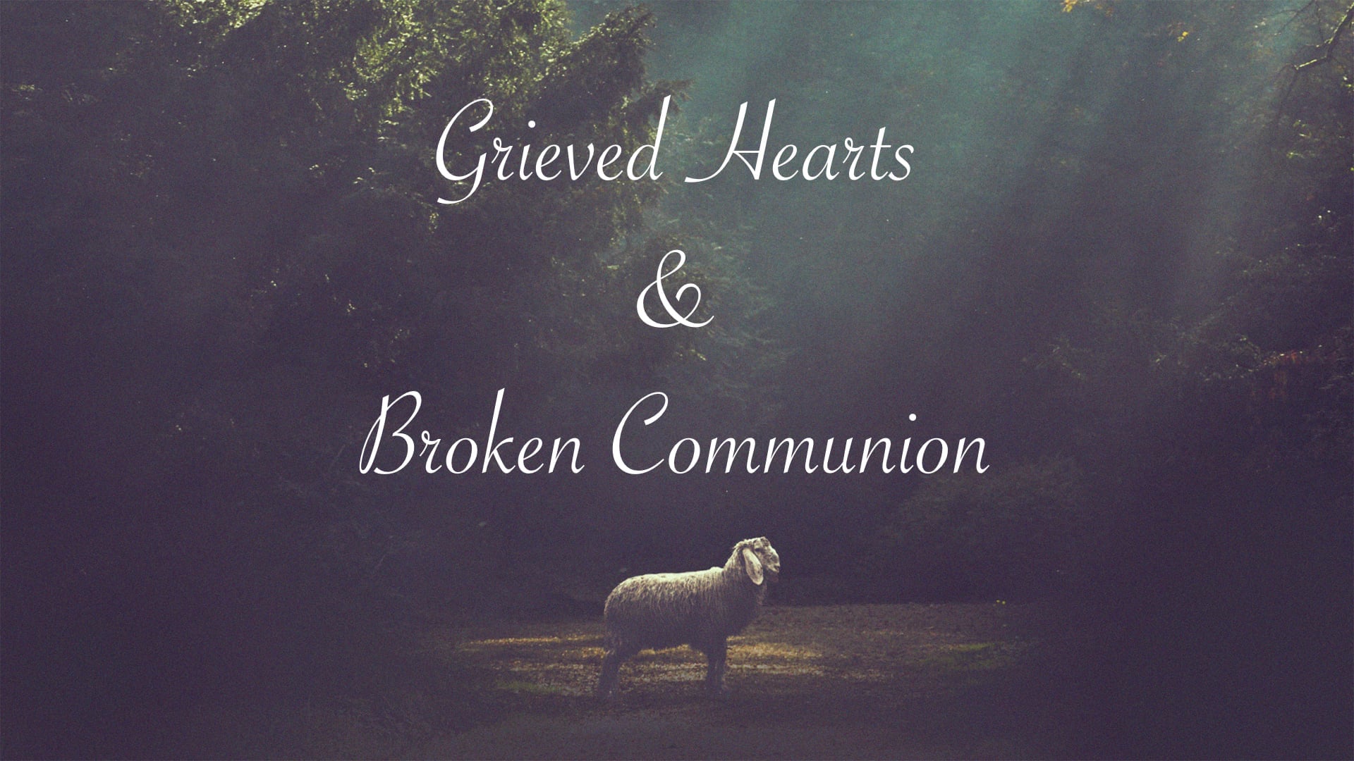 Grieved Hearts & Broken Communion [02.01.23Wed]