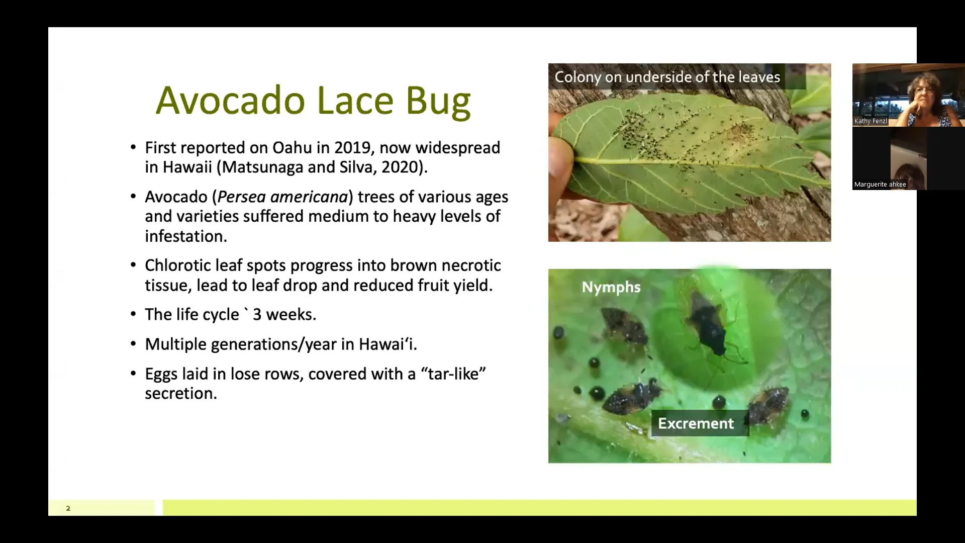 Basics of IPM & Lace Bug Control