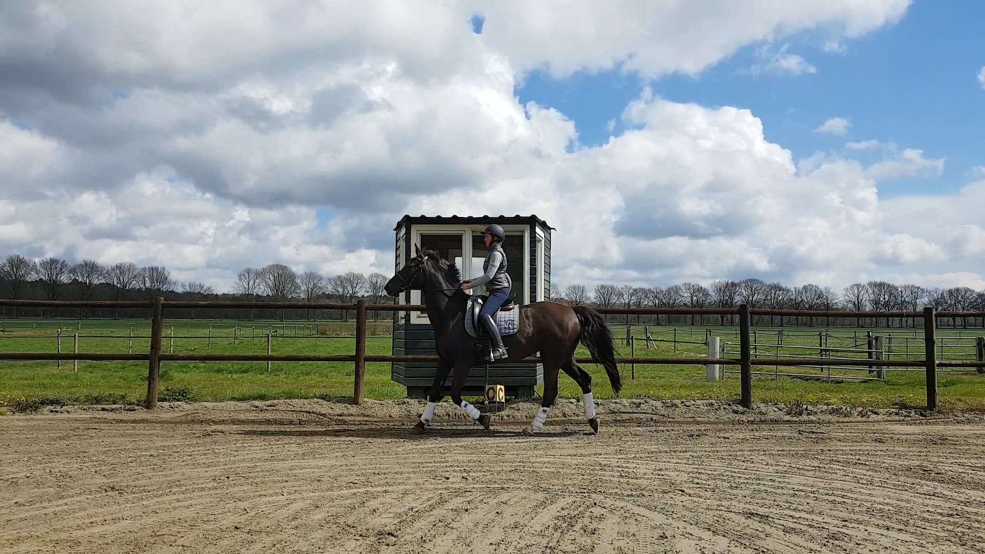 20210412_133103 holle rug website on Vimeo