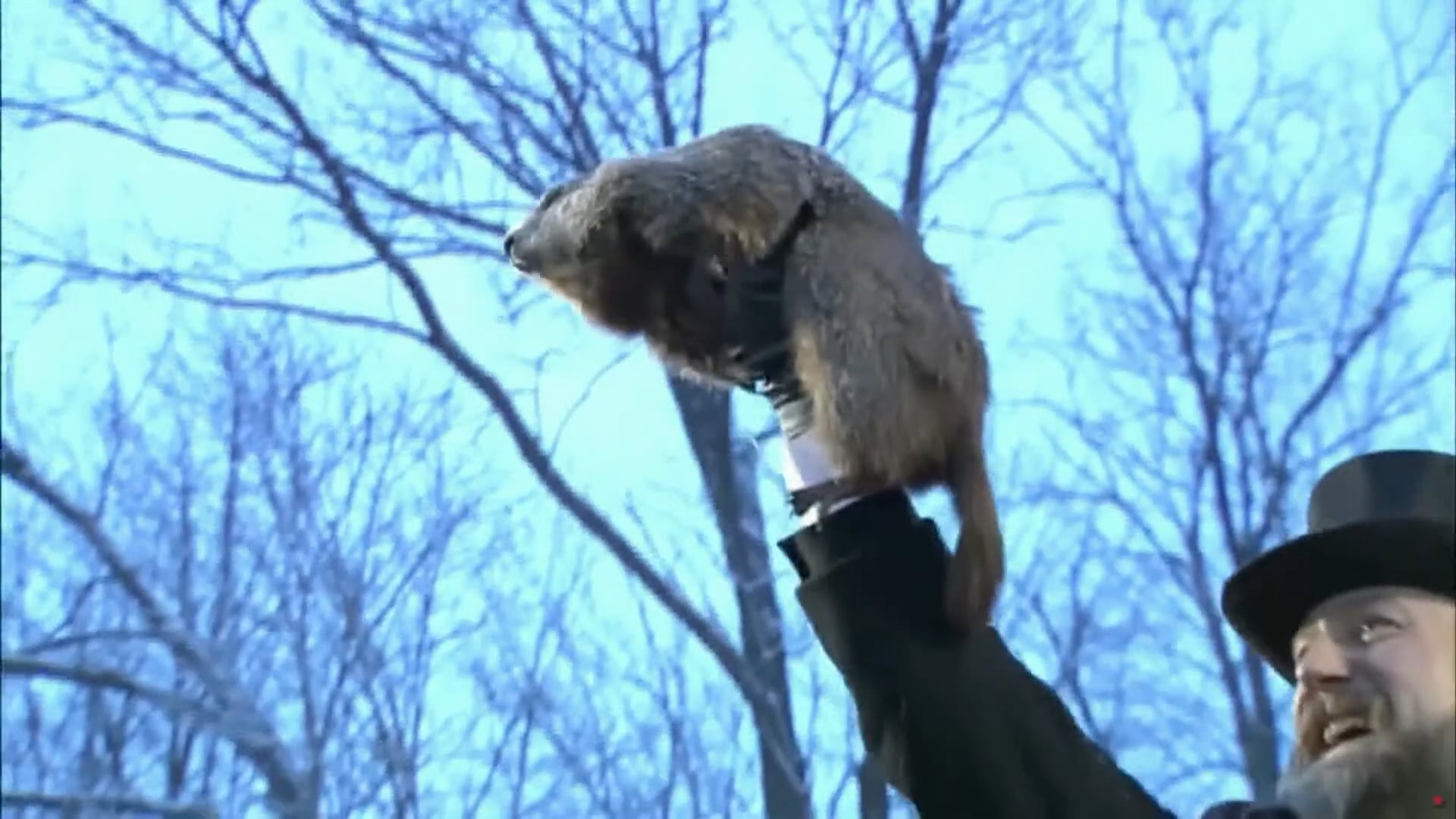 Groundhog Day.mp4 on Vimeo