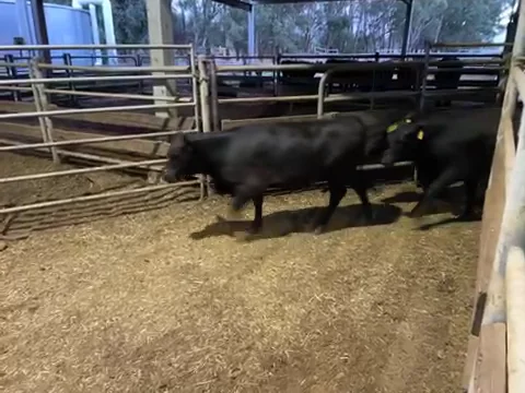 583969_1 on Vimeo