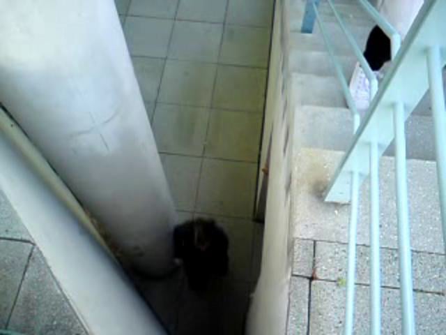 swimming pool II on Vimeo