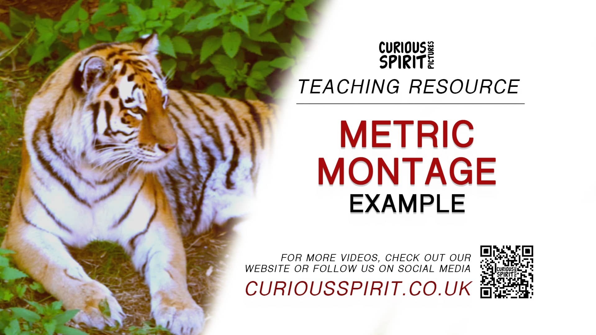 Metric Montage Example - Teaching Resource on Vimeo