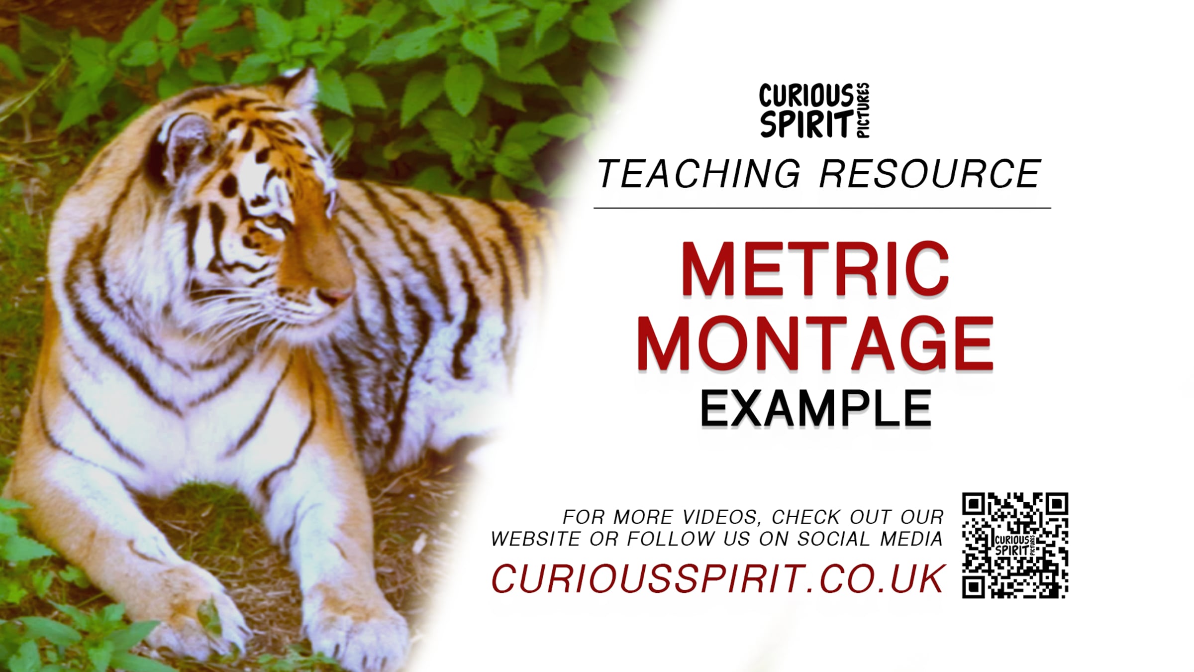 Metric Montage Example - Teaching Resource