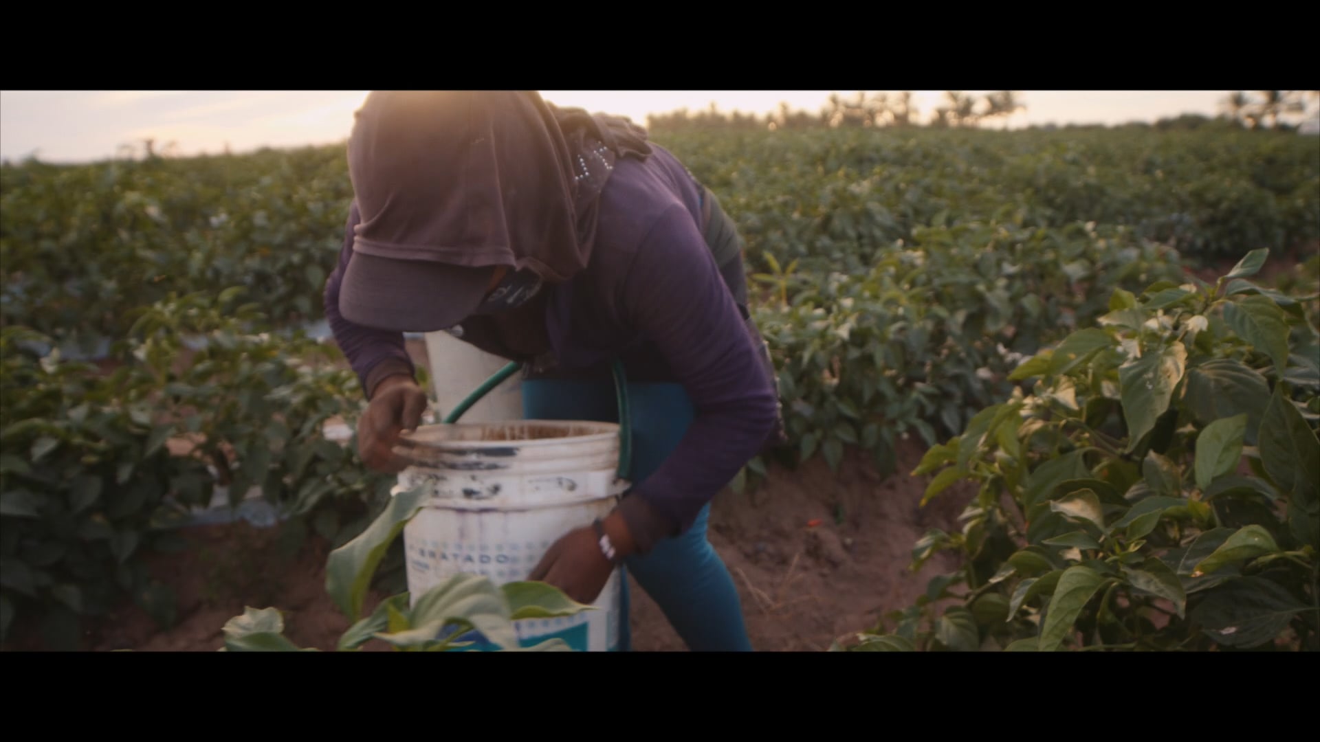 31 PRODUCE v3 on Vimeo