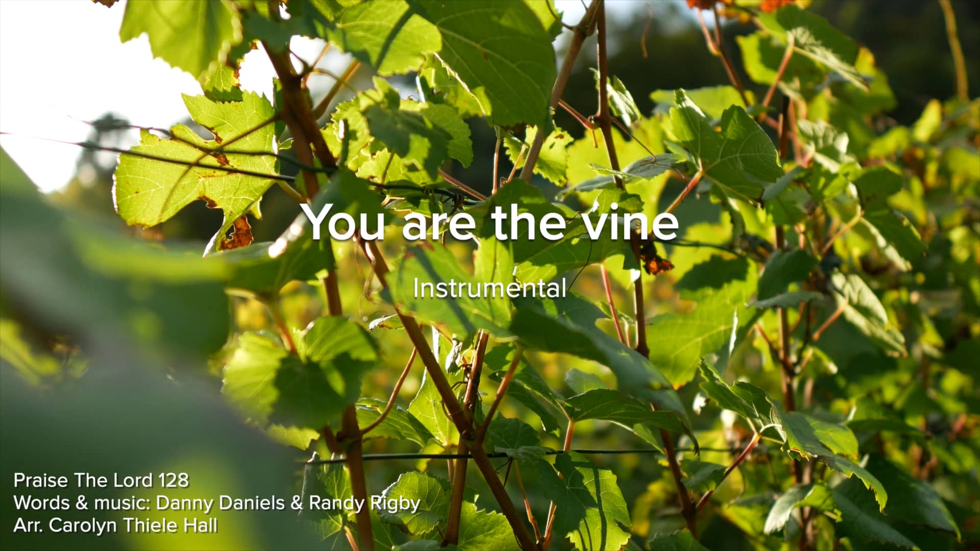 PTL 128 - Instrumental - You are the vine on Vimeo
