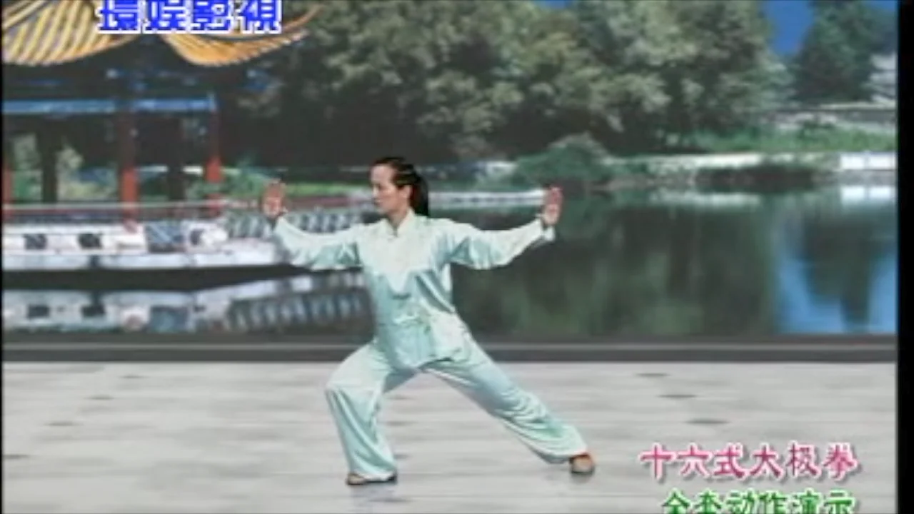 Watch Yang-Style Tai Chi 16 Form Online | Vimeo On Demand on Vimeo