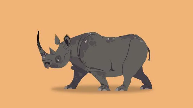 Rhino Walk Cycle