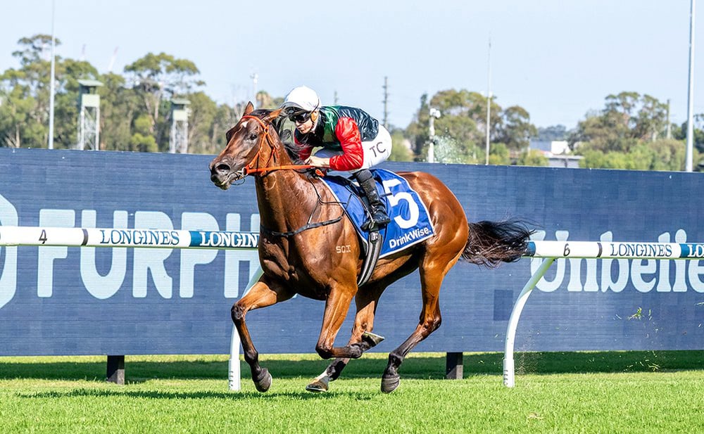 Inglis Digital Horse Of The Year - Mariamia - January 2023 on Vimeo