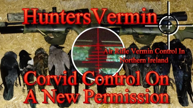 Air Rifle Hunting Corvid Control On A New Permission - Airgun101