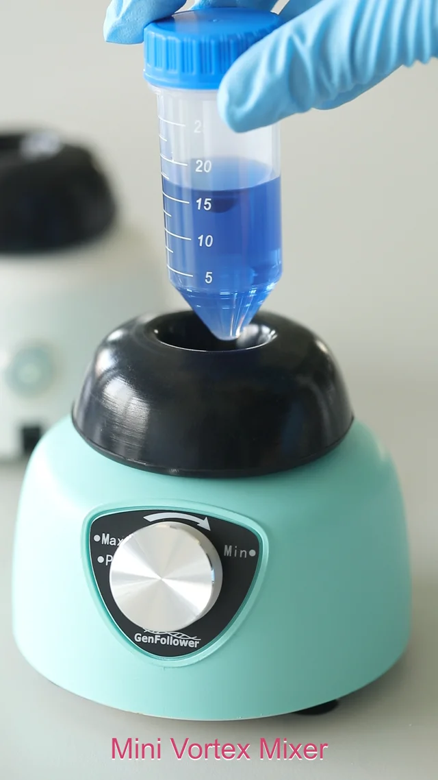 Activity The Bunsen Burner (revised) Activity, 43% OFF