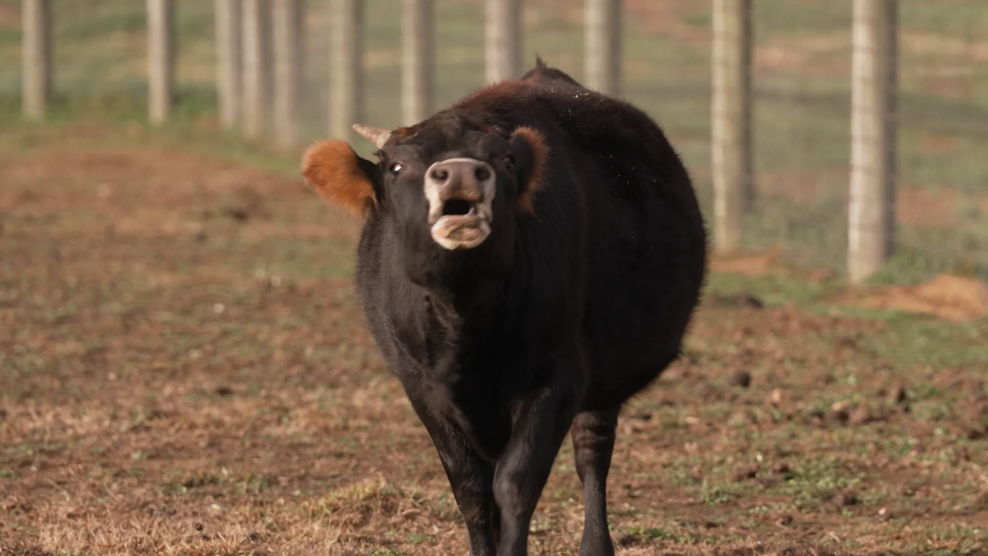 Alliance Sales and Marketing | Scott Introduces the Farm | CEO Video on ...